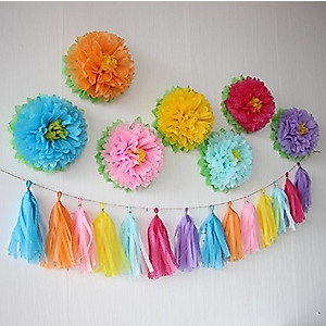 Mybbshower Fiesta Flower for Carnival Large 11" Set of 7 Rainbow Theme Party Birthday Celebration Backdrop Outdoor Decoration
