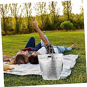 ULTECHNOVO Food Bag 12 Pcs Self-sealing Thermal Bag Organizer Tote Bag Zippered Tote Food Insulation Pouch Thermal Box Liners Heat Insulated Bag Baking Take-out Food Thermal Bag