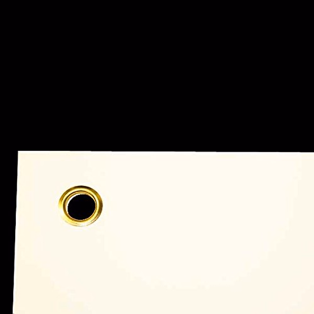 The Autonomic Nervous System Anatomical Chart