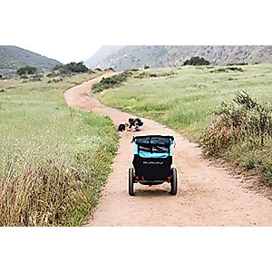 Burley D'Lite X, 2 Seat Kids Bike Trailer & Stroller