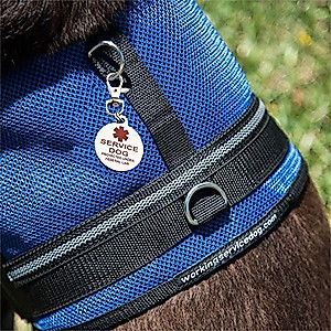 Service Dog Tag Double Sided Federal Protection with Medical Alert Symbol | Includes Five Service Dog Law Cards | Attaches to Collar Harness Vest Dog Service Tag