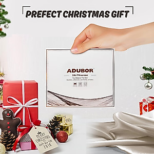 Adubor Silk Pillowcase 2 Pack for Hair and Skin with Hidden Zipper, Both Sides 23 Momme Silk Pillow Case (Beige, Queen: 20''X30'')