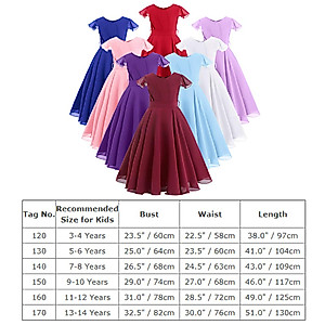 Embroidered Sequins Bowknot Flower Girls Tutu Princess Backless Dress for Kids Baby Christening Baptism Communion Birthday Pageant Party Wear Formal Wedding Dresses for Toddler Blush Pink 13-14 Years
