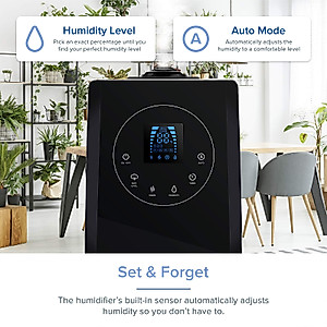 LEVOIT Humidifiers for Large Room Bedroom (6L), Black & Humidifiers for Bedroom Large Room Home, 6L Top Fill Cool Mist Air Ultrasonic for Plants Indoor with Essential Oils Diffuser, Gray