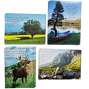 Divinity Boutique Assorted Birthday Cards for Him - 4 Design Birthday Card Assortment with Scripture for Men, Dad, Son and Husband - Set of 12