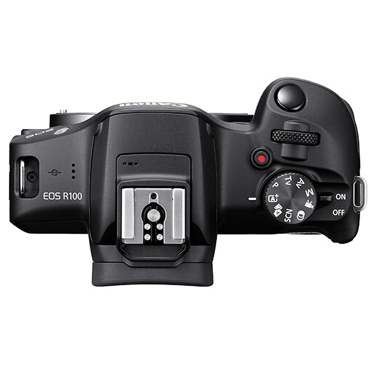 Canon EOS R100 Mirrorless Camera with 50mm Prime Lens + 64GB Memory Card, Case, Hood, Grip-Pod, Filter Professional Photo Bundle (Renewed)