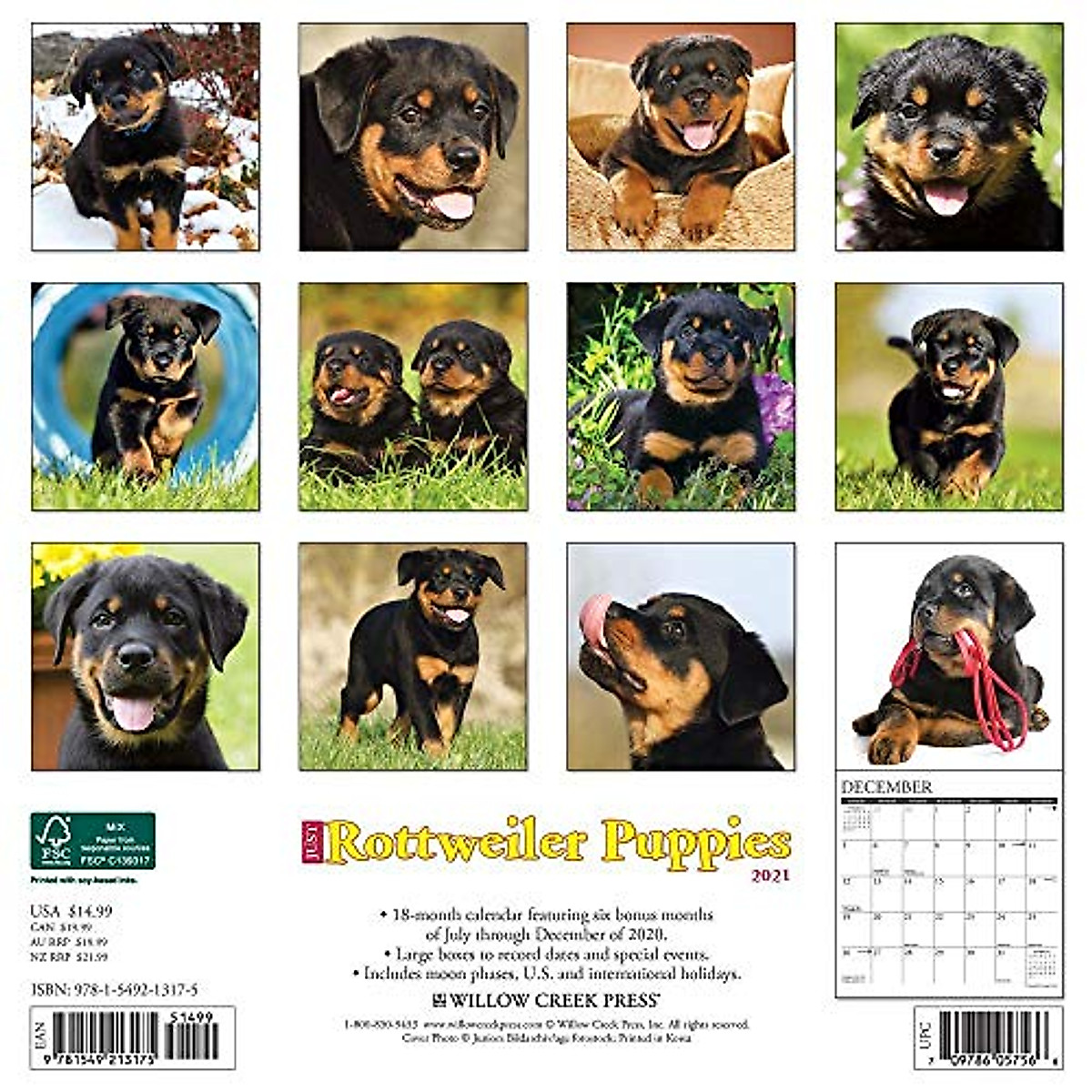 Just Rottweiler Puppies 2021 Wall Calendar (Dog Breed Calendar)