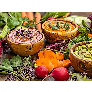 SOLTAKO 4 small dip bowls set - olive wood tapas bowls - small Mediterranean bowl for olives & BBQ sauces - dip bowl for charcuterie boards - charcuterie accessory - Ø 4"