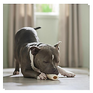 MPP Stuffed Cheese Shin Bones 4 Inch Refillable Nutritious Dog Dental Care Chews (10 Bones)