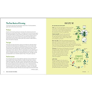 Indoor Grow Room for Beginners: A Step-By-Step Guide to Growing Marijuana