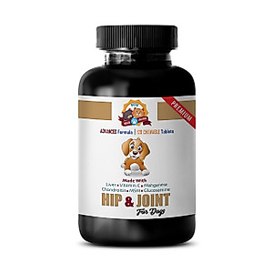 Dog Joint Supplement - Dog Hip and Joint Support - Premium Formula - Dog Bites Healthy - glucosamine sulfate 2kcl - 1 Bottle (120 Chews)