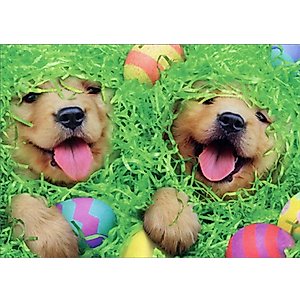 Avanti Press Puppies and Eggs in Easter Grass Cute Dog Easter Card