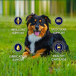 YUMA'S Hemp Calming Chews for Dogs with Anxiety and Stress (135 Chews)