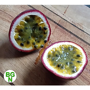 Cold Hardy 'Red Rover' Edible Passiflora Edulis - Edible Purple Passion Flower Fruit Vine - Live Plant