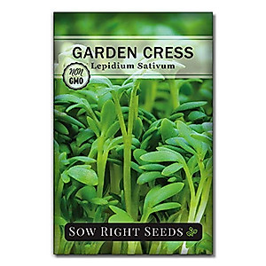 Sow Right Seeds - Cress Seed for Planting - All Non-GMO Heirloom Cress Seeds with Full Instructions for Easy Planting and Growing Your Kitchen Herb Garden, Indoor or Outdoor; Great Gift (1)