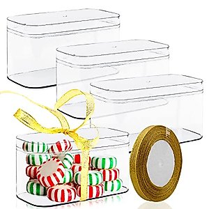 10 Pcs Clear Plastic Rectangle Boxes, 4.64x2.36x2.6" Small Plastic Storage Box with Lid Transparent Clear Containers Display Boxes Favor Gift Box with Glitter Ribbon for Candy Pill Jewelry Christmas