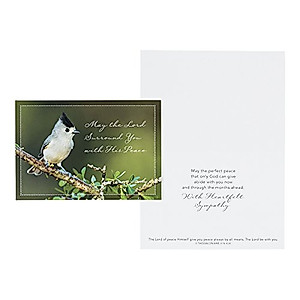 DaySpring - Sympathy - Comforting Thoughts - 12 Boxed Cards, KJV (60934),Multi