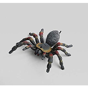 Warmtree Simulated Spider Model Realistic Spider Figurines Plastic Spider Action Figure, Set of 4