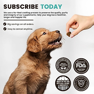 Vitamin Paws Mobility Hip and Joint Chews for Dogs Maximum Strength | Joints Health Supplement with Glucosamine, Chondroitin, MSM, Turmeric, Green Lipped Mussels, Wild Alaskan Salmon Oil, Omega 3