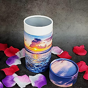 Set of 2 40 lbs Small ECO Scattering Tube Urn for Human Ashes, Biodegradable Decorative Spreading Cremation Urn for Adult Male Female Pet Dog Cat Ashes, Including ECO Artificial Flowers(Beach Sunset)