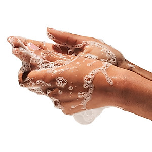 Beekman 1802 Goat Milk Hand Wash, Fresh Air - Scented - 8.9 oz - Cleanses, Softens & Nourishes Skin - Rinses Away Impurities - Good for Sensitive Skin - Cruelty Free