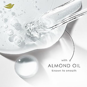 Dove Damage Therapy Derma Shampoo Soothing Moisture Pack of 6 for Flaky Scalp with Pyrithione Zinc and Almond Oil 12 Fl Oz