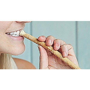 30 Pcs Al Falah Siwak Meswak Miswak Miswak Arak Peelu Al Falah Chewing Stick With Natural Flavor Organic Herbal Toothbrush Vacuum Sealed Breath Freshener Thirty Tooth Sticks Plus 1oz / 28 gm Cloves