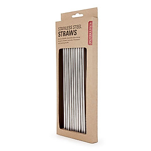 Stainless Steel Straws - Set of 10