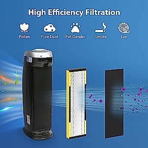 FLT4825 Filter B Replacement for Guardian, CHIVALZ True HEPA Replacement Filter, Compatible with Guardian Air Purifier AC4825 AC4300 AC4800 AC4900 AC4850, 2 H13 Hepa Filters + 8 Carbon Filters