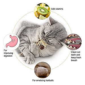 Gochanmon Cat Toys-3Pcs Natural Silvervine Sticks-Catnip Cat Chew Toys for Kitten Teeth Cleaning-Matatabi Cat Treat Toy-Edible Kitty Toys for Cats Lick (3Psc)