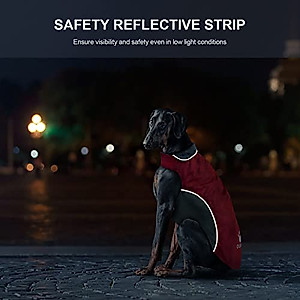 IREENUO Dog Raincoat, 100% Waterproof Dog Warm Jacket for Fall Winter, Rainproof Coat with Adjustable Velcro & Reflective Stripes for Medium Large Dogs