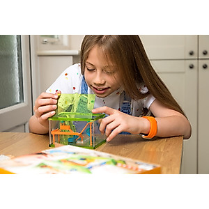 SmartLab Toys Bug Playground Insect Inspector Lab
