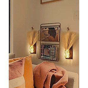 Mason Jar Wall Decor with LED Lights, JACKYLED Rustic Mason Jar Sconces with 12 PCS Faux Pampas Grass, Wall Art Decor for Boho Home Decor, Farmhouse, Bedroom, Kitchen, Living Room Hallway Decorative