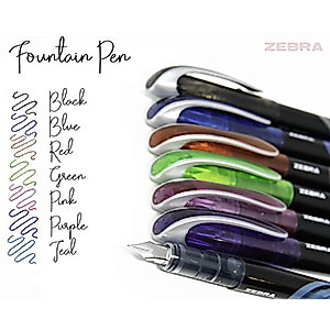Zebra Pen Zensations Fountain Pen Set, Fine Point 0.6mm, Black Non-Toxic Ink, Stainless Steel Nib, Disposable, 2-Pack (04112)
