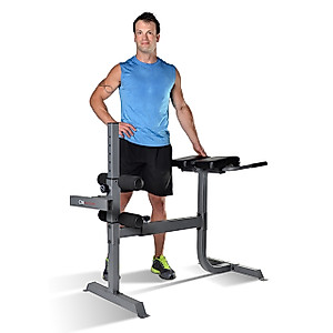 CAP Strength Roman Chair, Gray