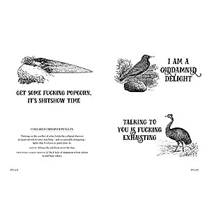 Effin' Birds: A Field Guide to Identification