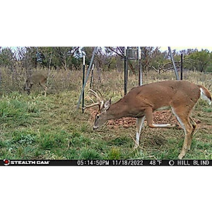 Stealth Cam Browtine 3 Camera Bundle- 18MP Digital Camera - 480P Video Capability