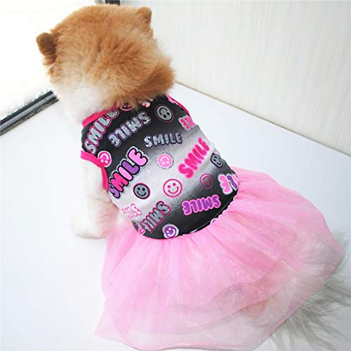 Puppy Shirt Skirt Winter Pet Costume Dog Cat Clothing Apparel Doggie Outfits Hoodie Sweatshirts Tiny Puppy Clothes Black Small