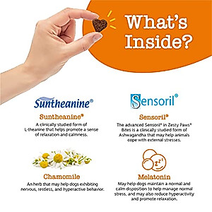 Zesty Paws Calming Chews for Dogs - Composure & Relaxation for Everyday Stress & Separation - with Ashwagandha, Organic Chamomile, L-Theanine & L-Tryptophan – Turkey Melatonin - 90 Count