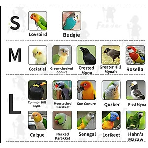 Bird Flight Suits Diapers, Parrot Flight Suits Diapers for Monk Parakeets, Cockatiels Flight Suits, Parrot Clothes, Bird Training Nappy Suit Liners Clothes (Small,Purple)