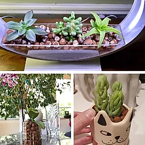 Halatool 4LB Leca Clay Pebbles for Plants 4mm-16mm Lightweight Clay Balls 100% Natural Hydro Balls for Aquarium Potted Plants Hydroponic Growing Gardening Orchids Drainage Decoration Aquaponics