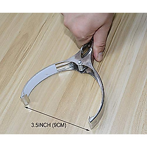 Beach Towel Clips, 12 Pcs 5.5 Inch Length Stainless Steel Mental Clips for Quilt, Beach Towel, Blankets, Clothes, Skirts, Pool Cover, Photos (5.5 inch 12 pcs)