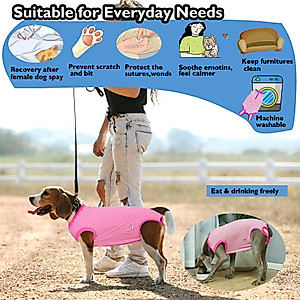 Wabdhally Dog Surgery Recovery Suit,Surgical Suit for Large Female Spay,Soft Combed Cotton,Rose Striped Zipper Onesie XL