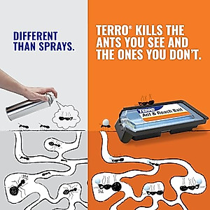 Terro T360 Ant & Roach Baits, 10 Pack,Black