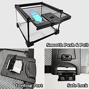 Hamiledyi Mini Reptile Glass Terrarium Tank,8"x8"x6" Hermit Crab Breeding Box Transparent Jumping Spider Enclosure Small Amphibians Habitat Cage for Baby Snake Gecko Lizard Tarantula