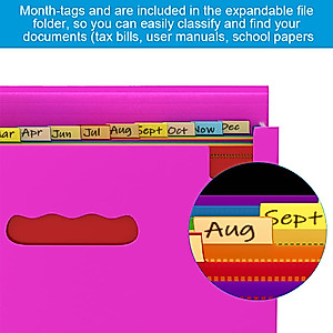 CN1ST Expanding File Folder with Sticky Labels, Accordian File folders Organizer, Expandable Filing Folder for Documents Letter Size and A4 Size