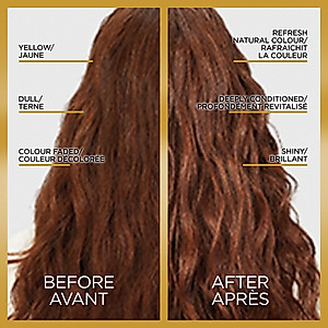 L’Oréal Paris Le Color One Step Toning Hair Gloss, Clear, 4 Ounce