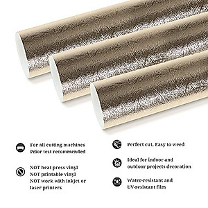 TECKWRAP Metallic Textured Chrome Vinyl Adhesive Vinyl for Craft Cutter 1ft x 5ft, Champagne Gold