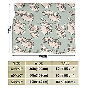 Hairless Naked Cats Sphynx Cats Mint Green Blanket,Fleece Throw Blanket Super Soft Warm Therma Plush Bed Couch Living Room