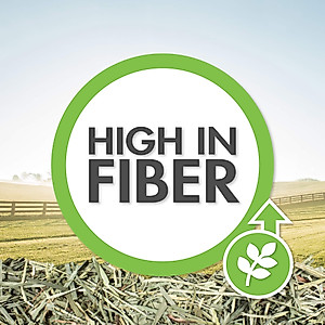 Vitakraft Small Animal Timothy Hay for Guinea Pigs, Rabbits, and Chinchillas - 1.75 lbs